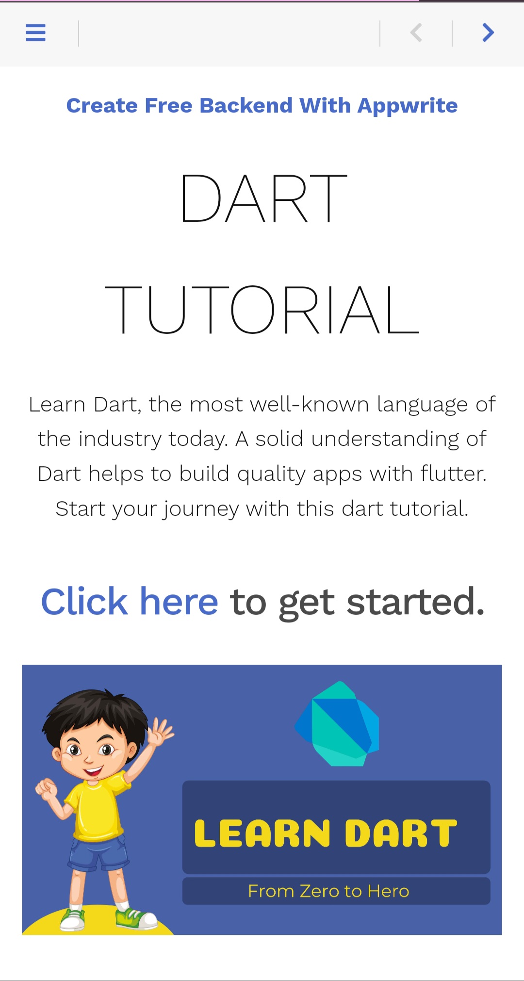 Prakash - Flutter Developer